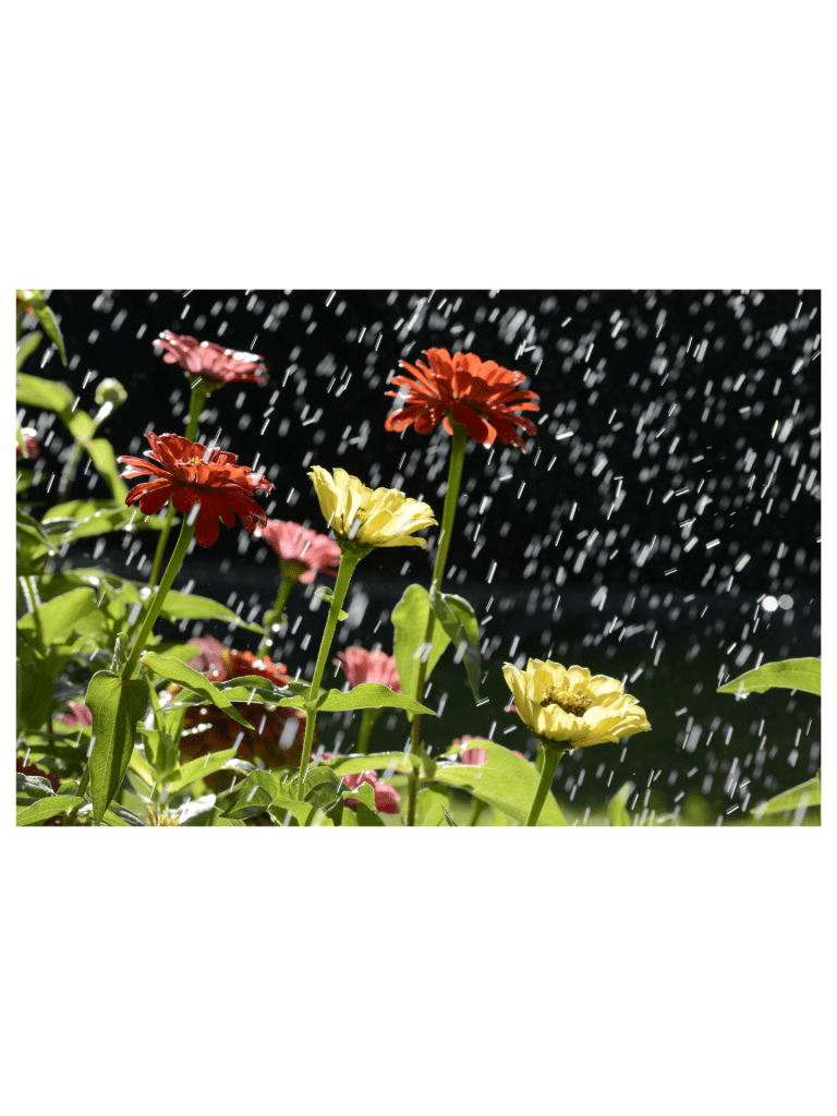 April Showers - Apex Physical Therapy & Wellness